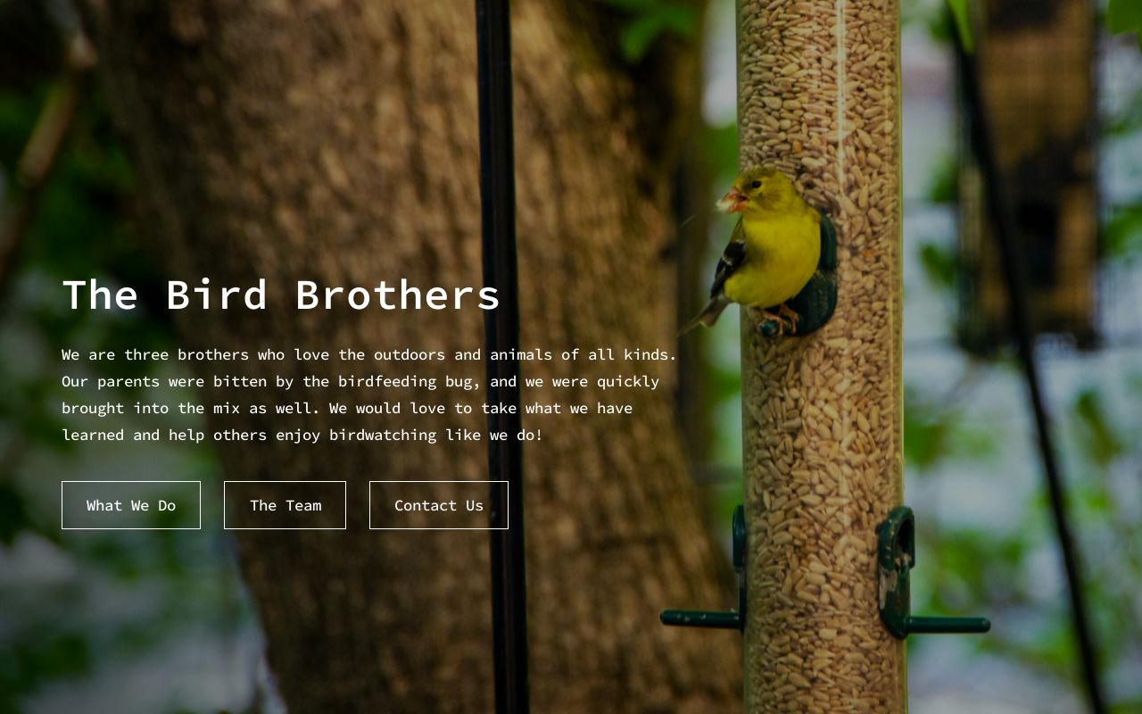 The Bird Brothers